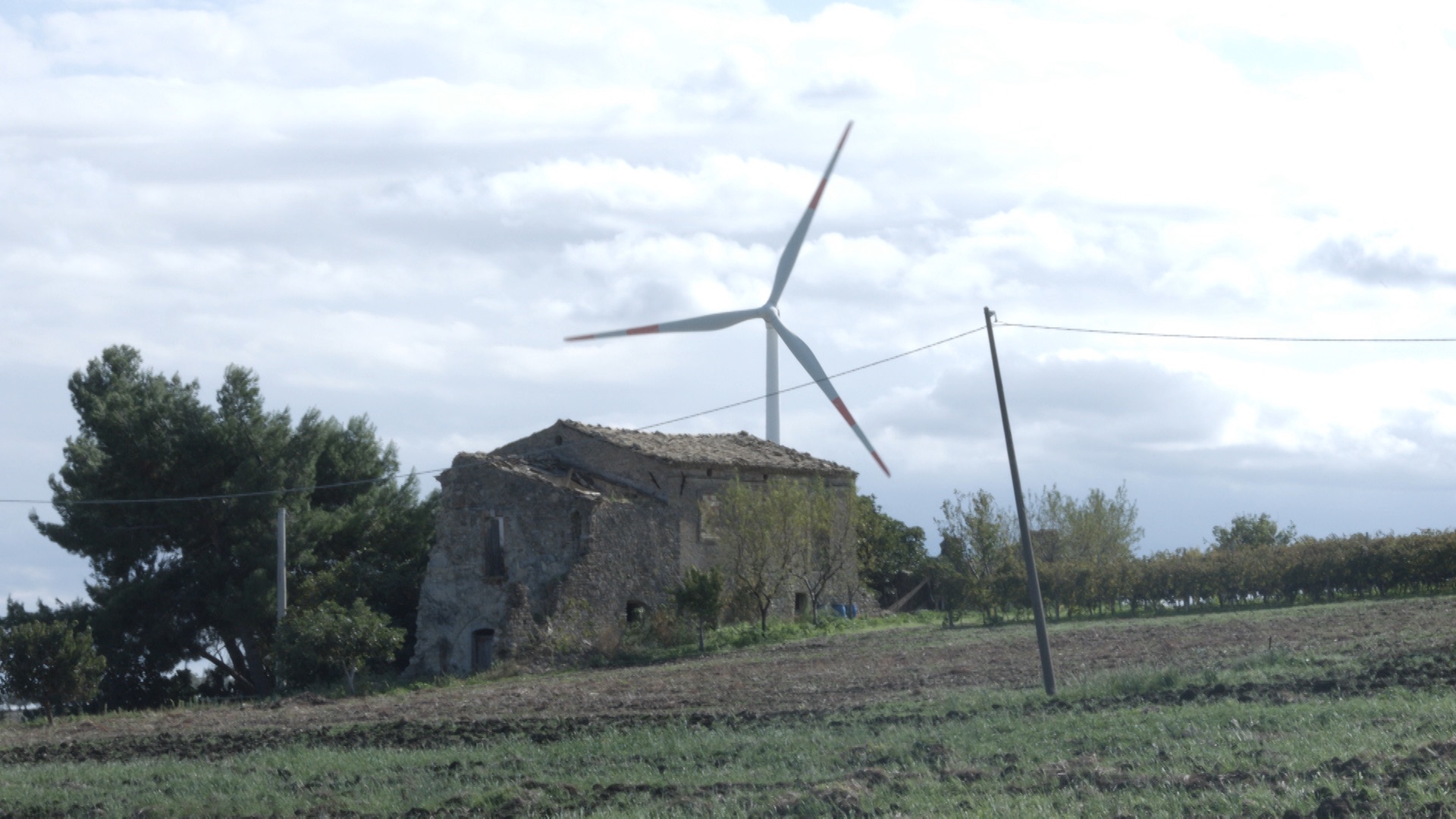 Mulmix — Alberto Narduzzi